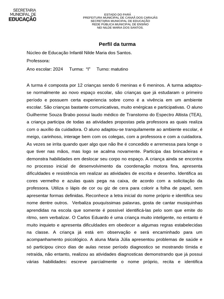 MODELO PERFÍL DA TURMA | PDF | Escrita | Autismo