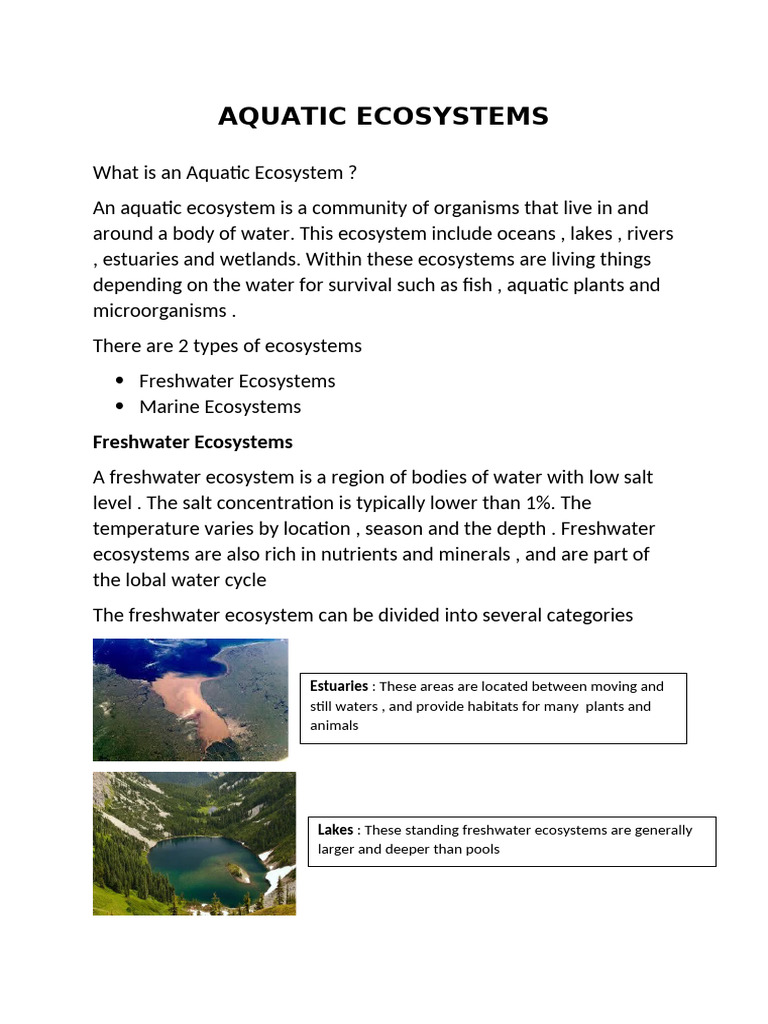 Aquatic Ecosystems | PDF | Ecosystem | Aquatic Ecosystem