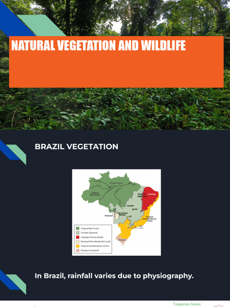 Wildlife and Vegetation in India and Brazil | PDF