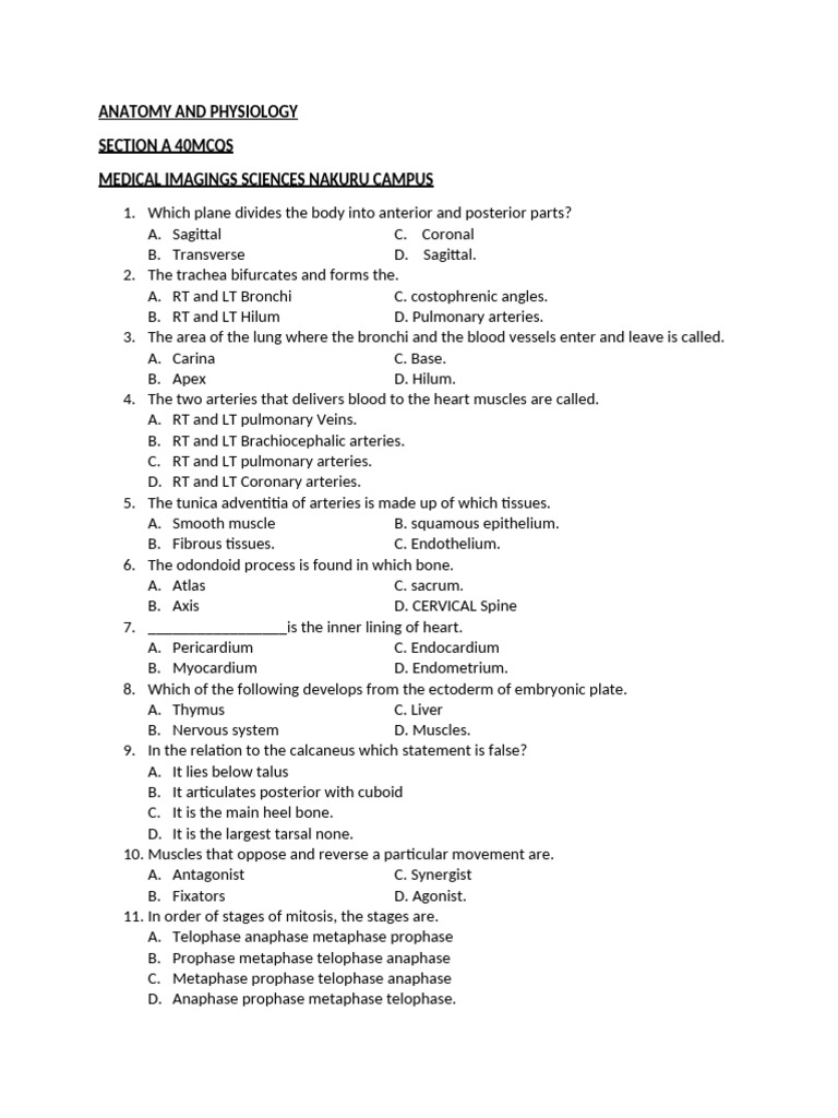 ANATOMY CAT 3 | PDF | Large Intestine | Epithelium
