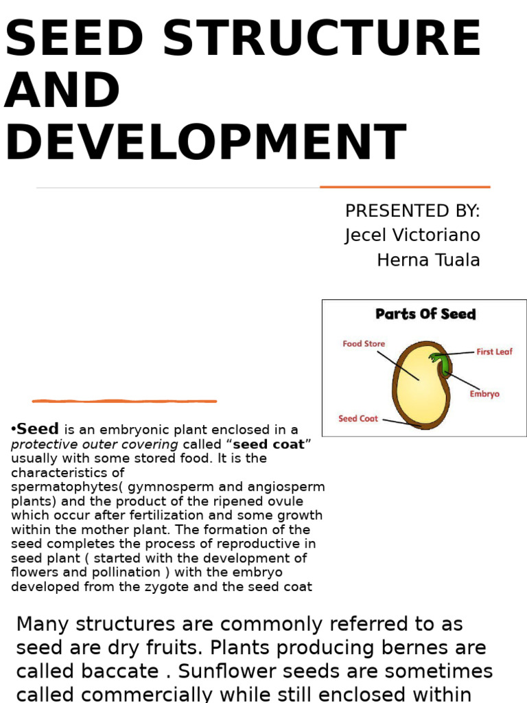 Seed Structure and Development Overview | PDF | Seed | Biology