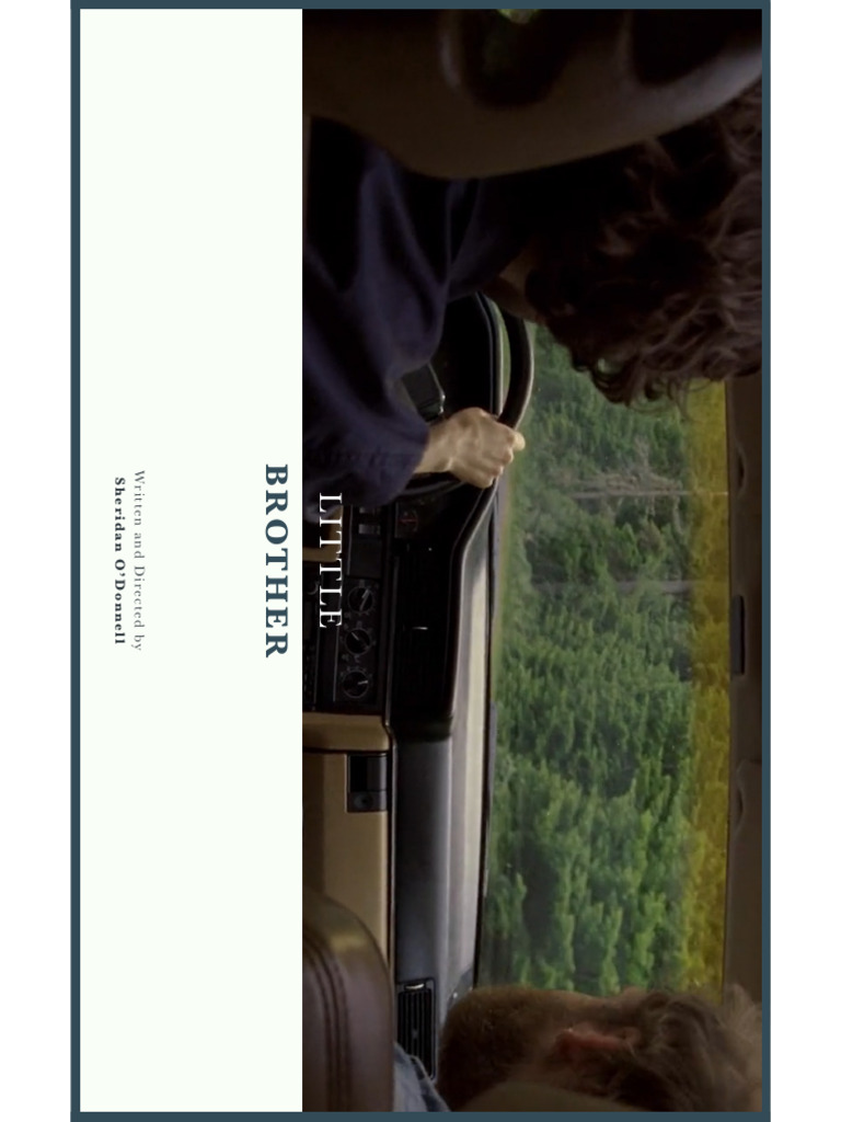 Little Brother - Treatment Vol.6 | PDF | Behavioural Sciences