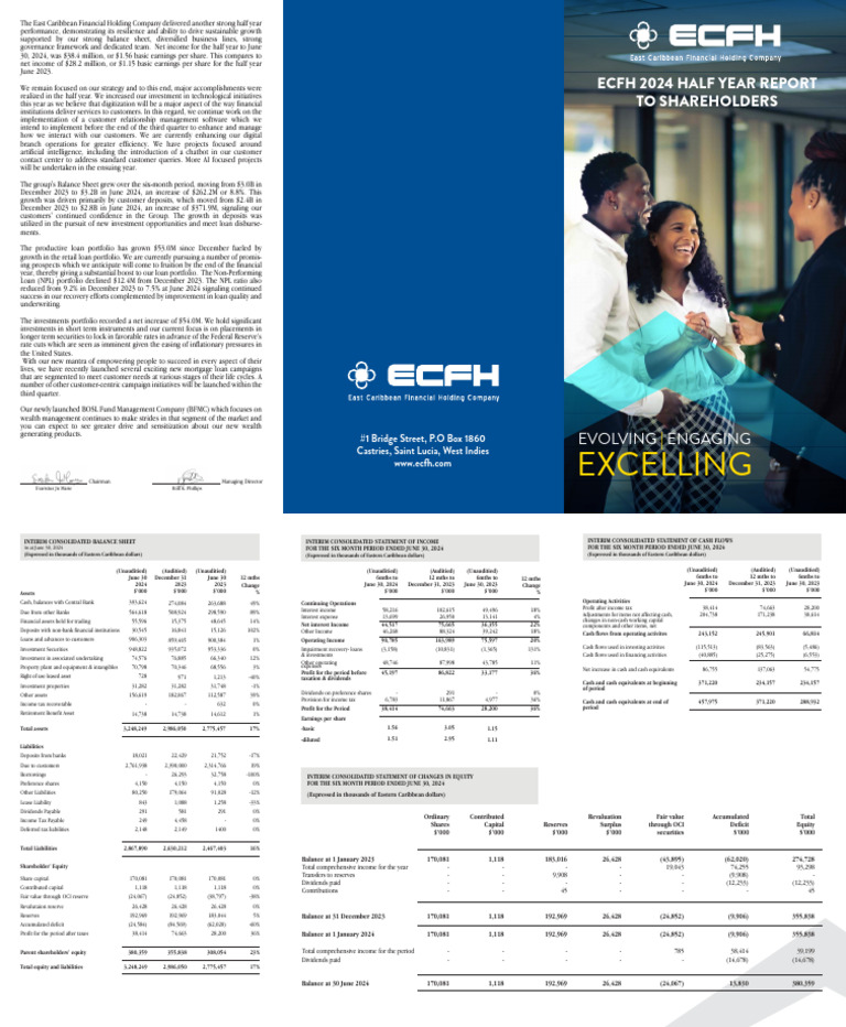 ECFH 2024 Half-Year Financial Report | PDF | Equity (Finance) | Dividend