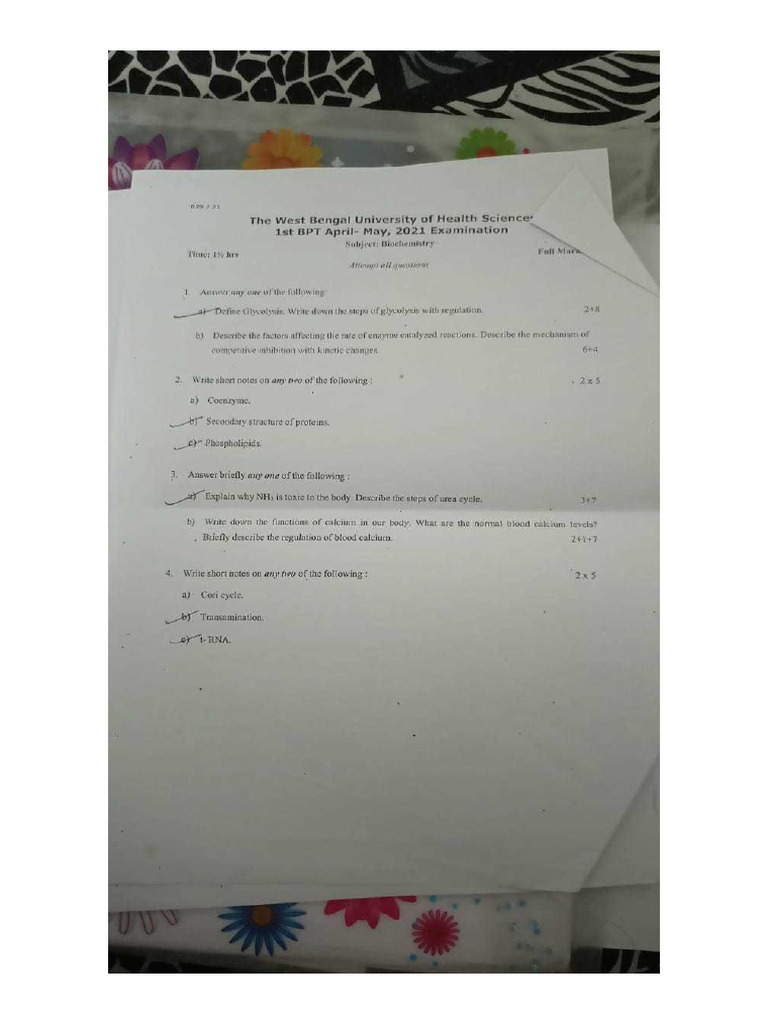 BPT 1st Year Question Papers | PDF
