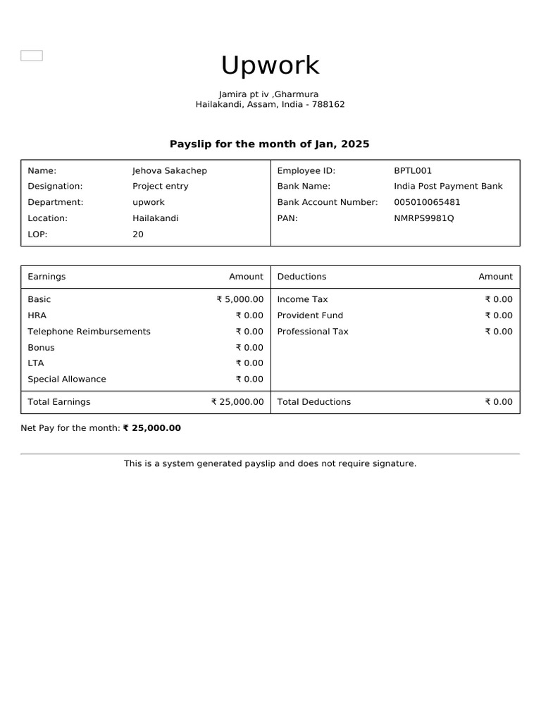 PaySlip 1 2025 | PDF