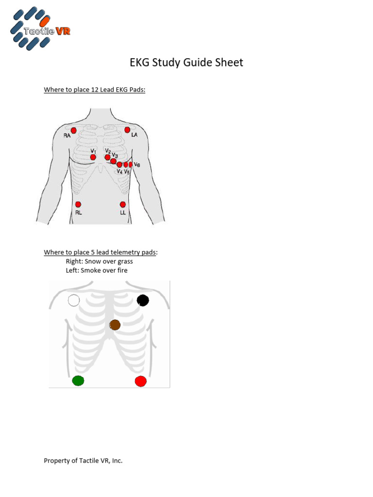 EKG Study Sheet - Tactile VR | PDF | Electrocardiography | Internal ...