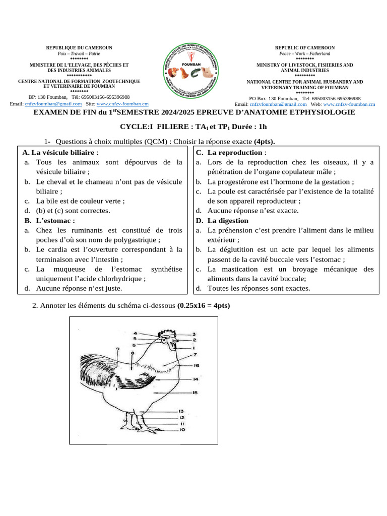 Anatomie et physiologie des polygastriques | PDF | Estomac | Appareil ...