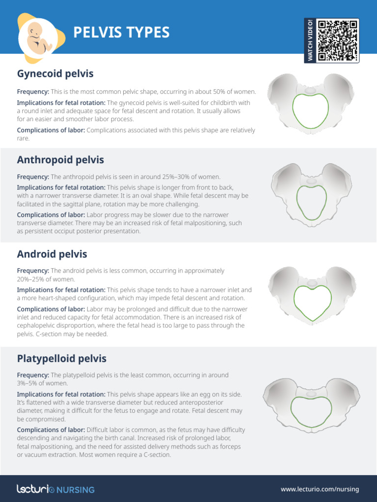 Nursing CS Pelvis Types 01 | PDF
