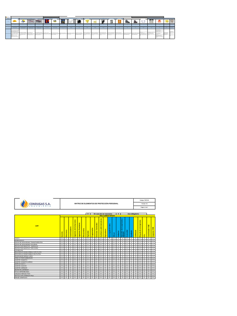Fsst-66 Matriz de Epp | PDF | Materiales