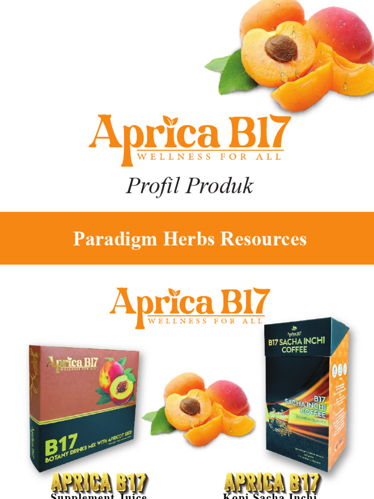 APRICA B17-NEW-DRAFT SEMI - Compressed | PDF