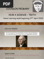 Class 4 Teeth and Their Structure Worksheet | PDF | Tooth | Tooth Enamel