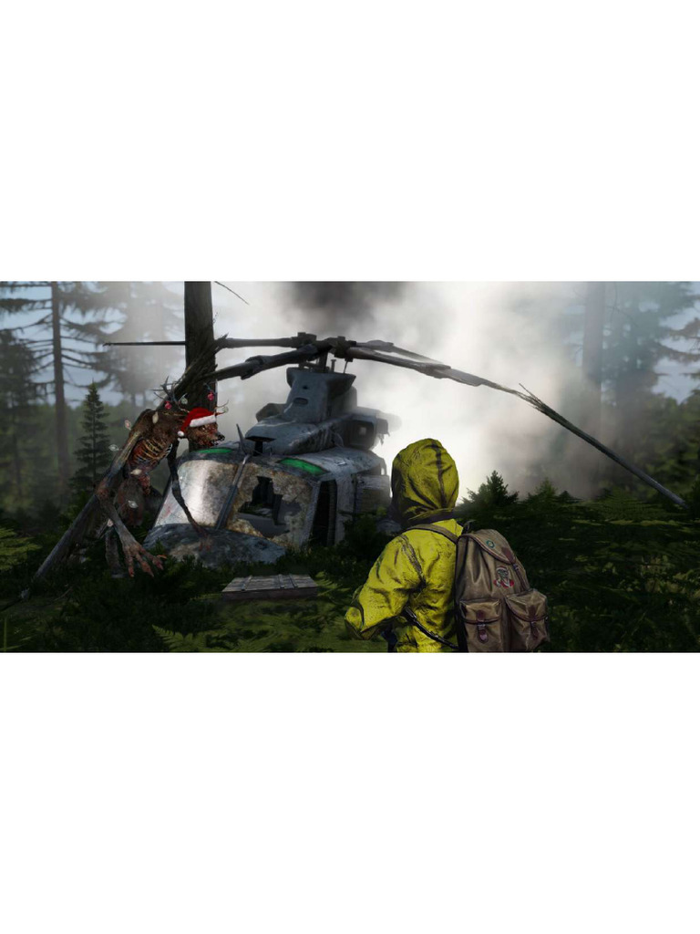 Dayz | PDF