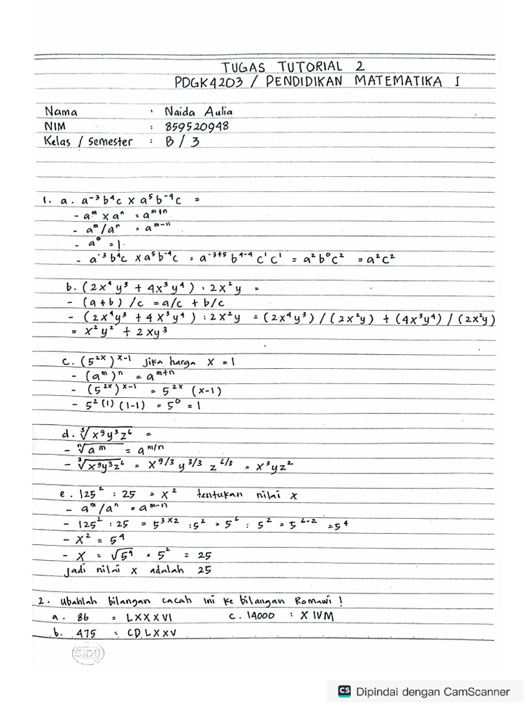 Tugas Tutorial 2 - PDGK4203 Pendidikan Matematika I - Naida Aulia | PDF