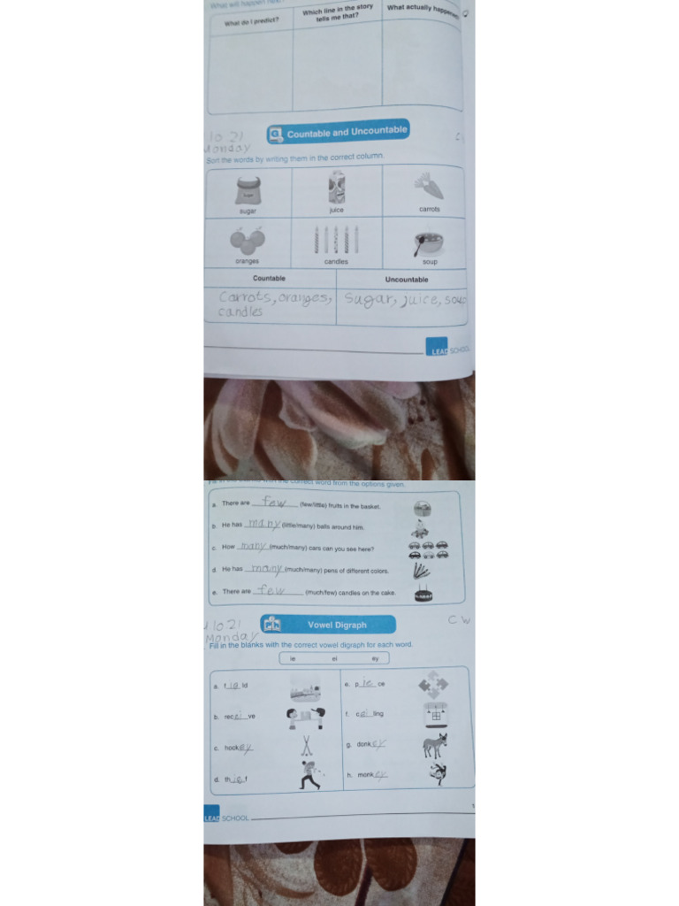 Yash Chugh 3rd Lotus Elga Work PDF | PDF
