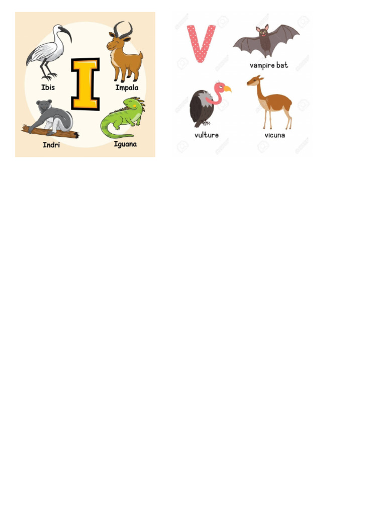 Documento (9) TR | PDF