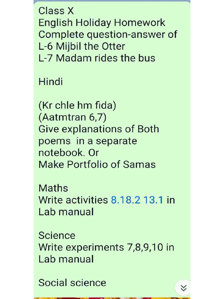 Holiday Homework Class 10 | PDF