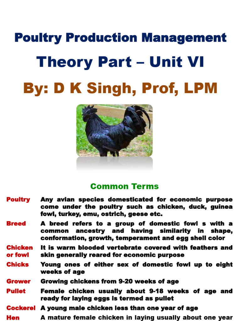 LPM Unit-6 Theory | PDF | Chicken | Inbreeding