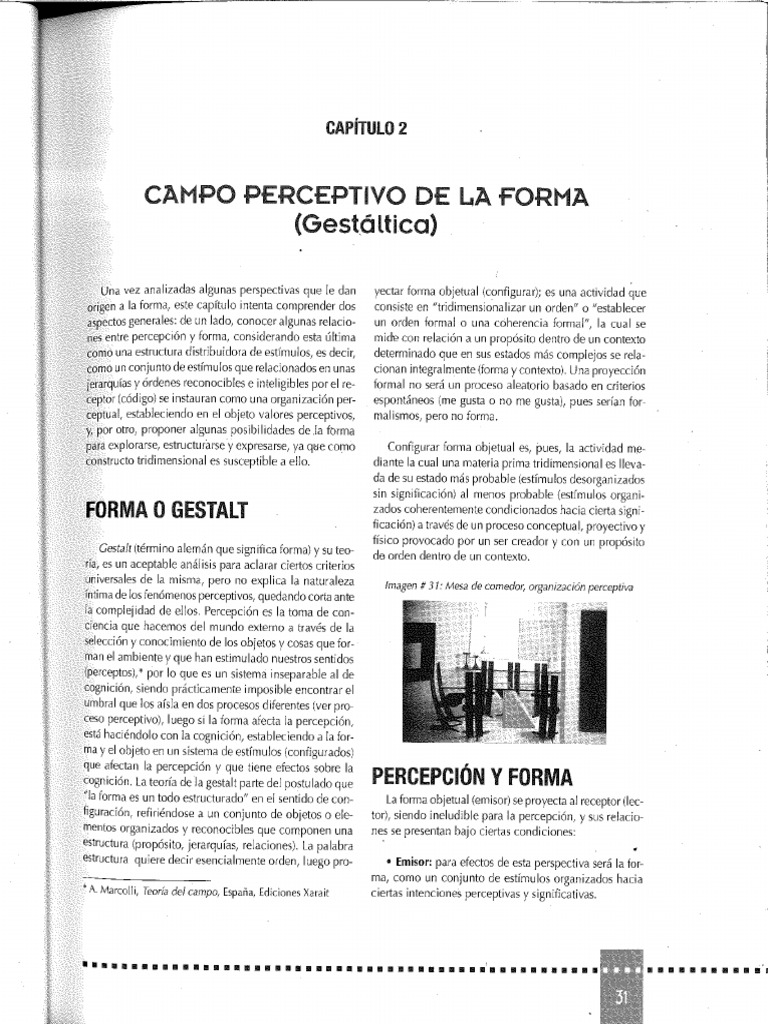 Campo Perceptivo de La Forma | PDF