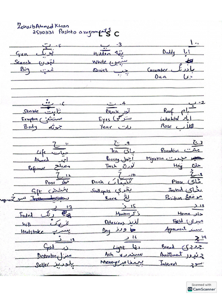 Pasto Assignment 1 25110331 Zohaib | PDF