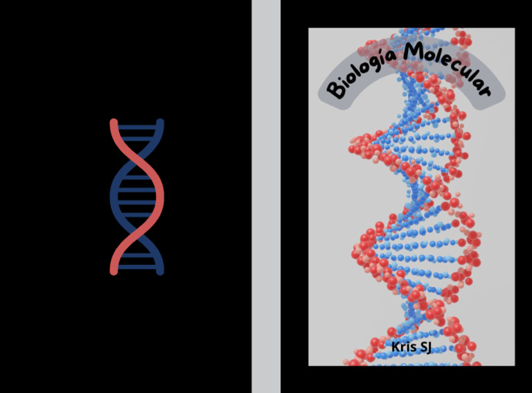 Therian Notebook | PDF