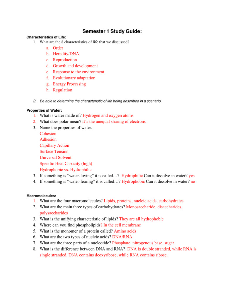 Semester 1 Study Guide (6250) Answer Key | PDF