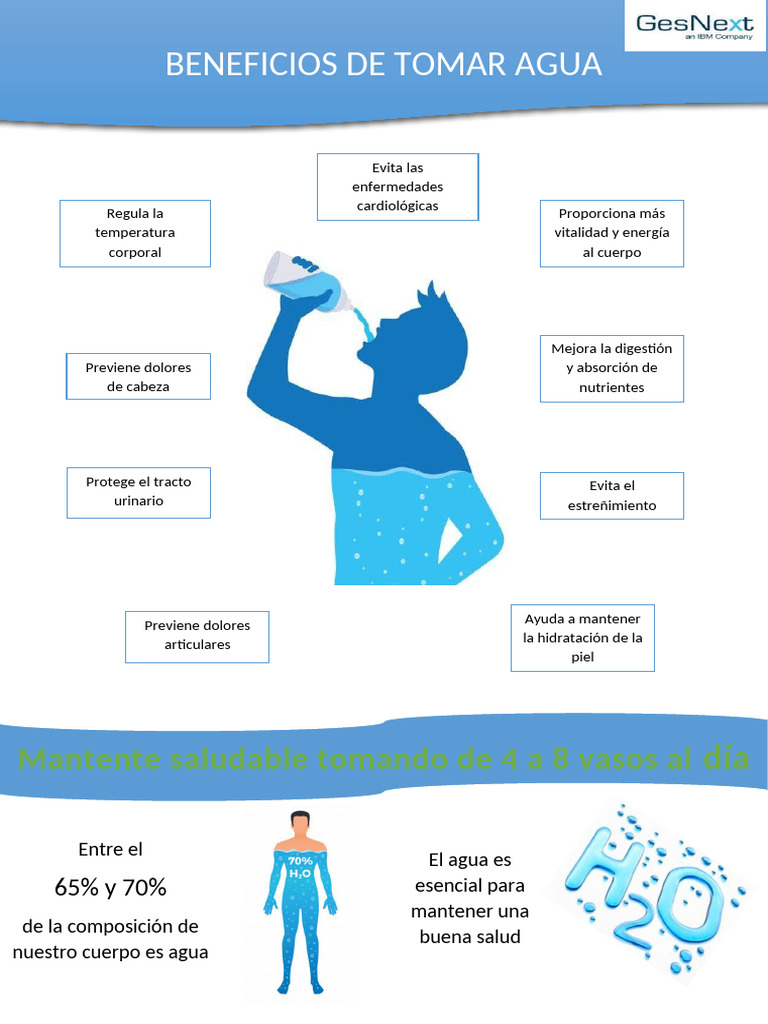 Beneficios Del Agua | PDF