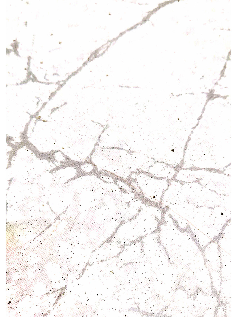 D6 | PDF