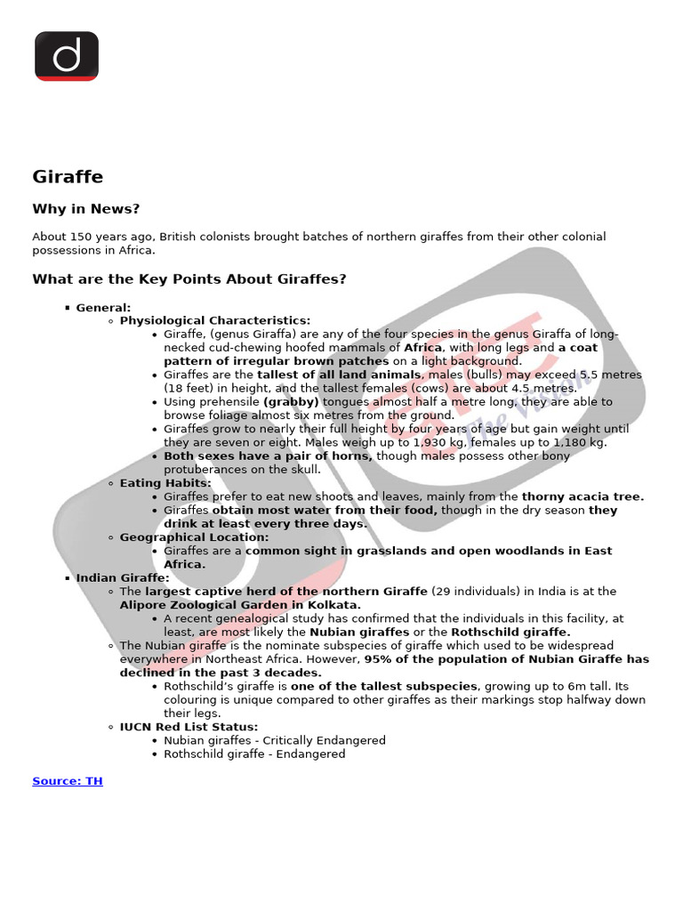 giraffe | PDF | Giraffe | Zoology