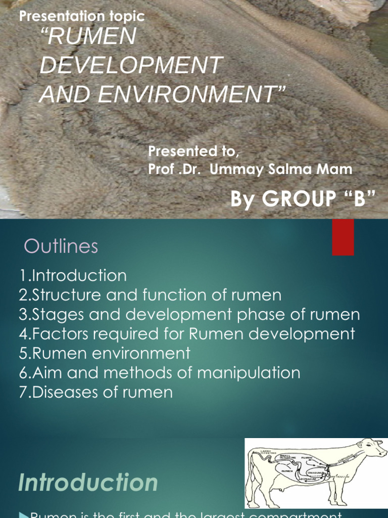 Rumen ^0 Rumen Development(3)(1) | PDF | Digestion | Biology
