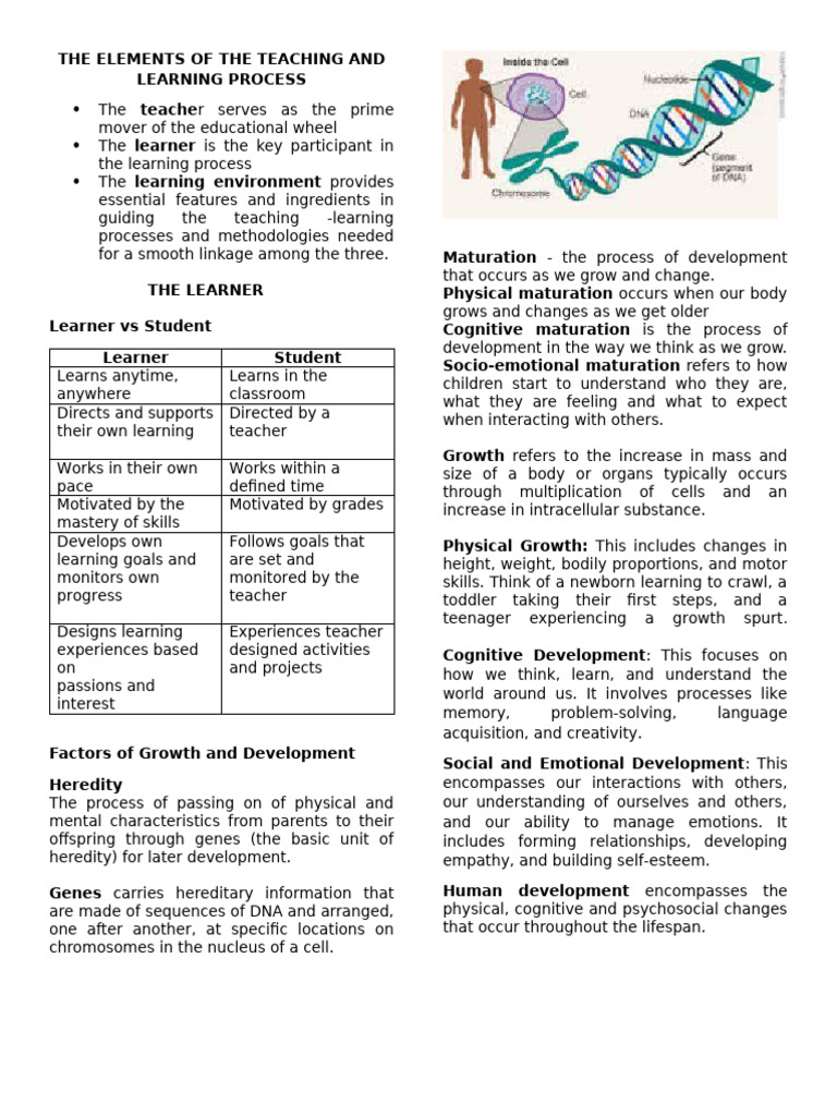 1-THE-LEARNER | PDF | Learning | Learning Styles