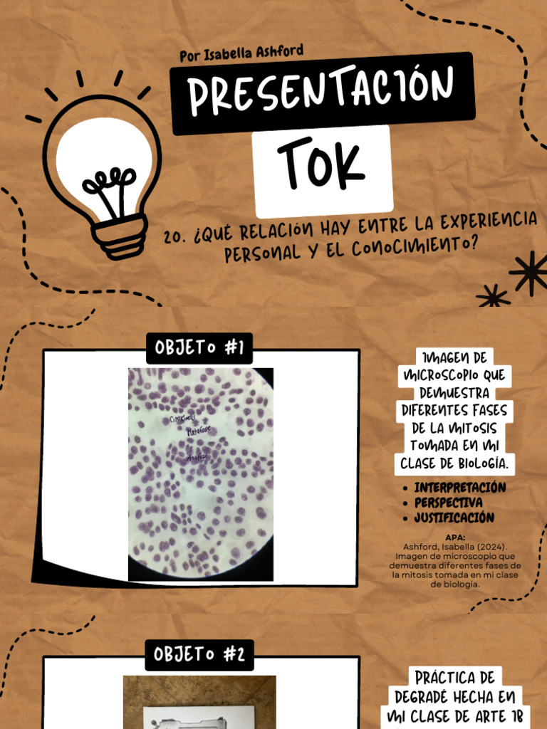 Presentación TOK | PDF
