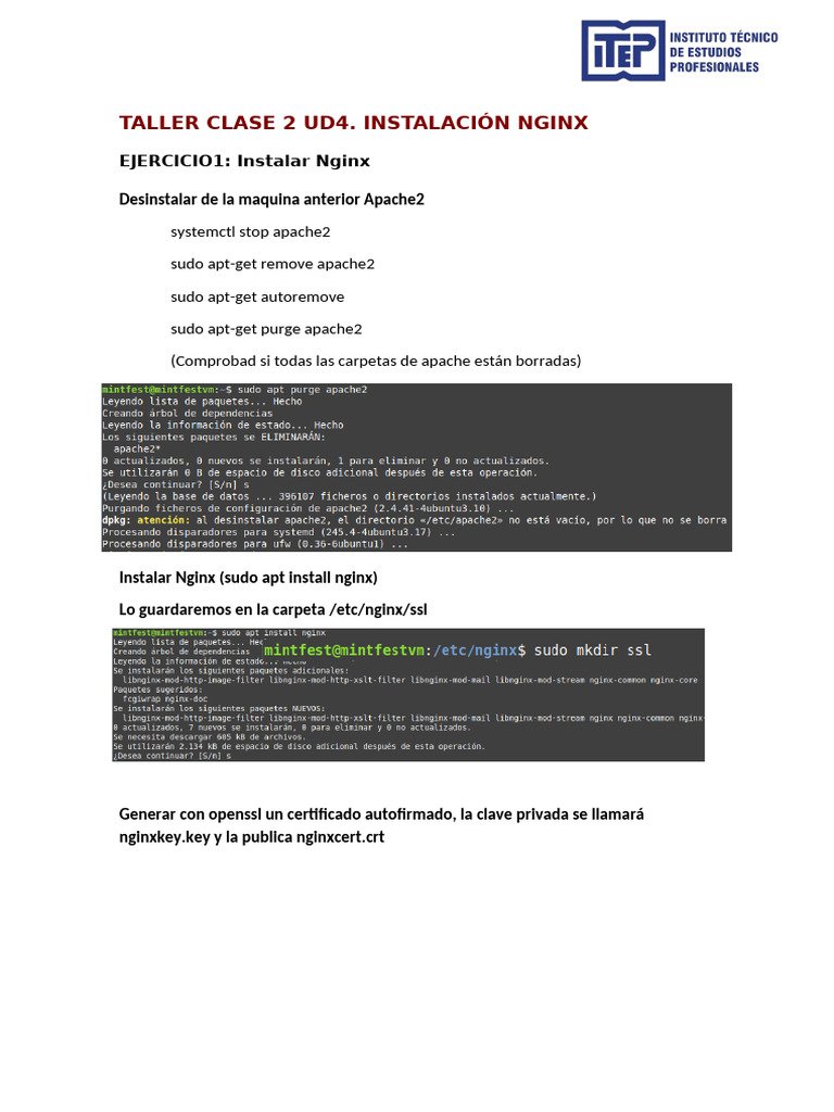 Instalación y Configuración de Nginx | PDF
