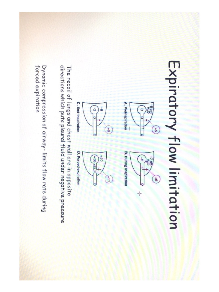 Lung Recoil | PDF