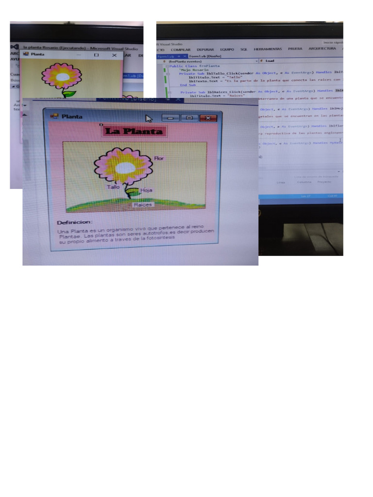 Programacion 2 | PDF