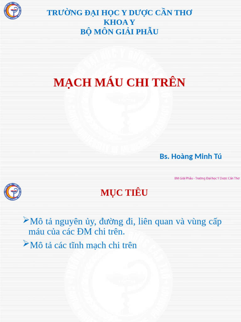 MACH MAU CHI TREN BMGP | PDF