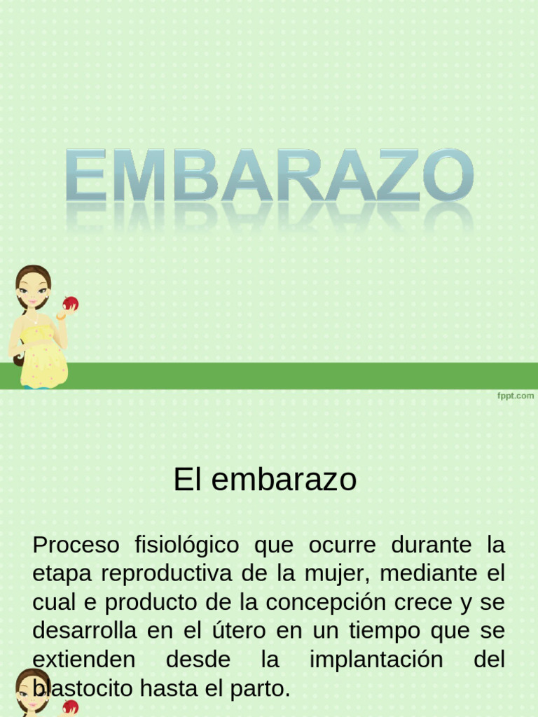 El embarazo | PDF | Parto | El embarazo