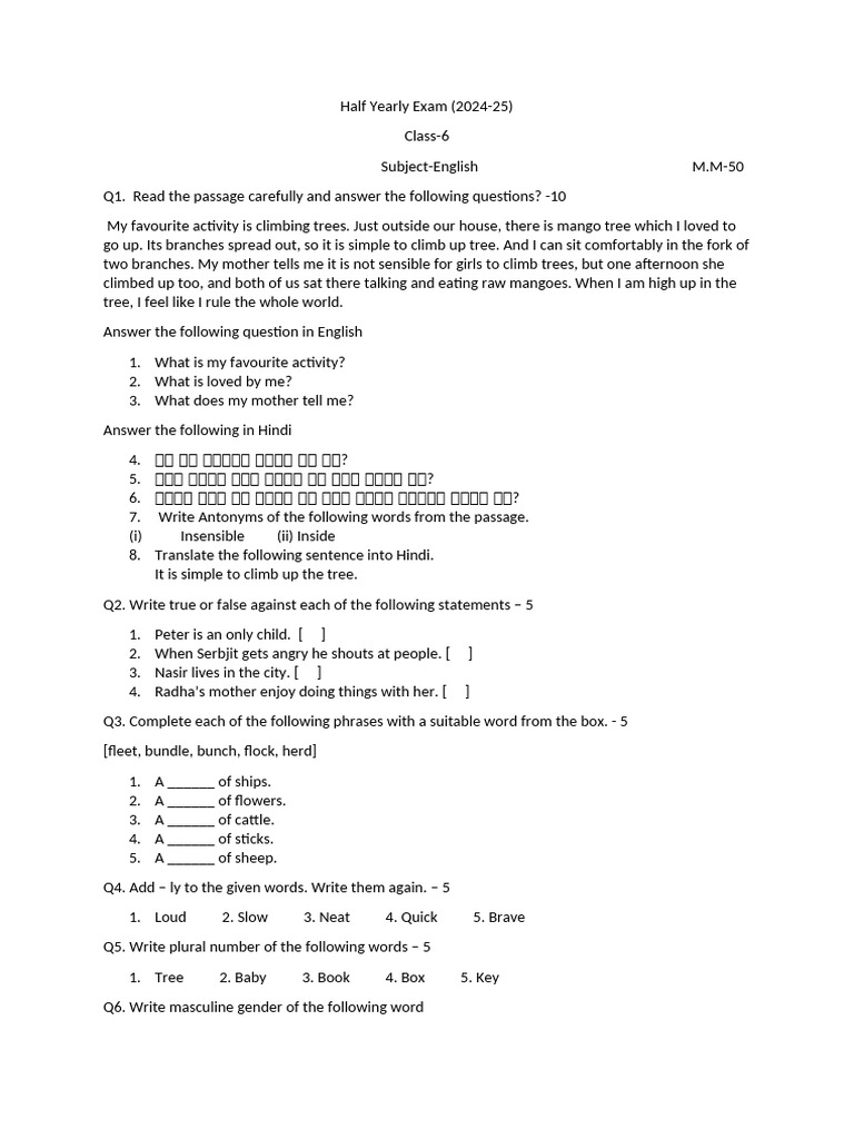 Half Yearly Exam Class 6 Sub - English 2024-25 | PDF