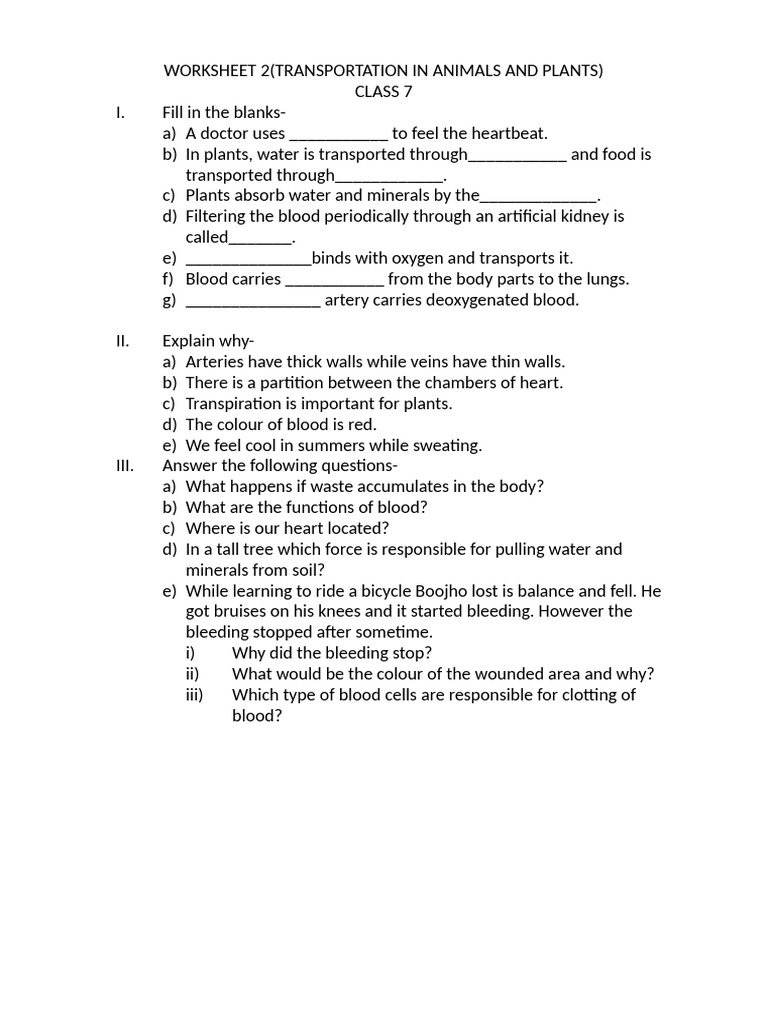 Class 7 Worksheet 2 Transportation in Animals and Plants 4 Feb 2025 | PDF