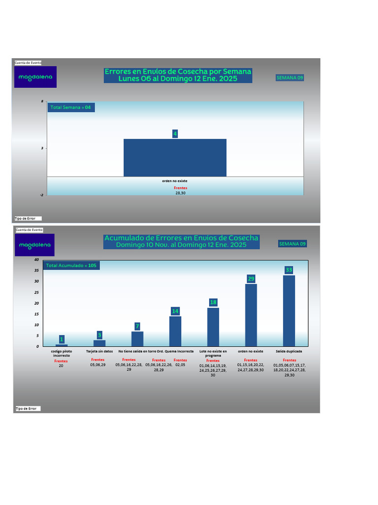 Reporte de Errores de Envios 24-25 | PDF