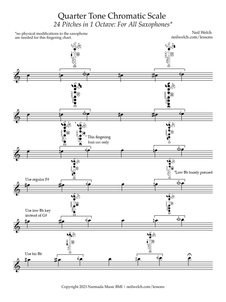 Quarter Tone Chromatic Scale in 1 Octave | PDF