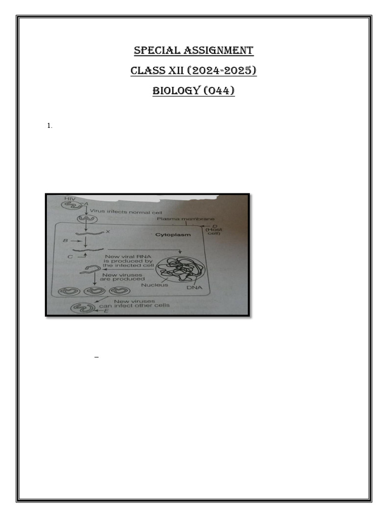 Special Assignment | PDF