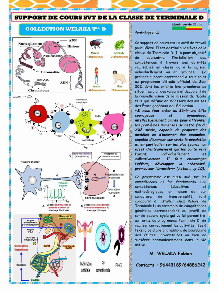 MON SUPPORT DE COURS SA1 Tle D WELAKA | PDF