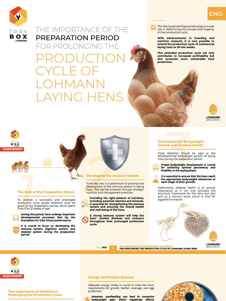 The Importance of the Preparation Period for Prolonging the Production Cycle of LOHMANN Laying ...