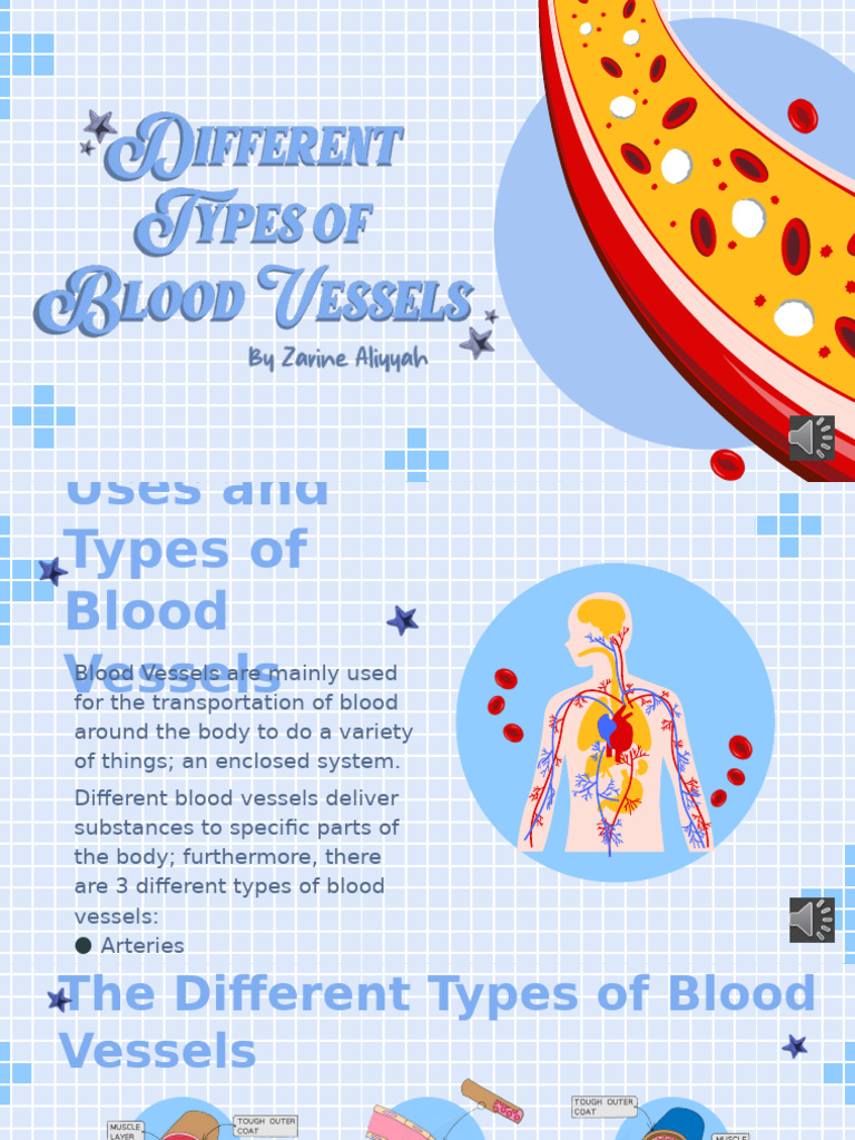 Blood Vessel Types For Medical Students by Slidesgo | PDF | Artery ...
