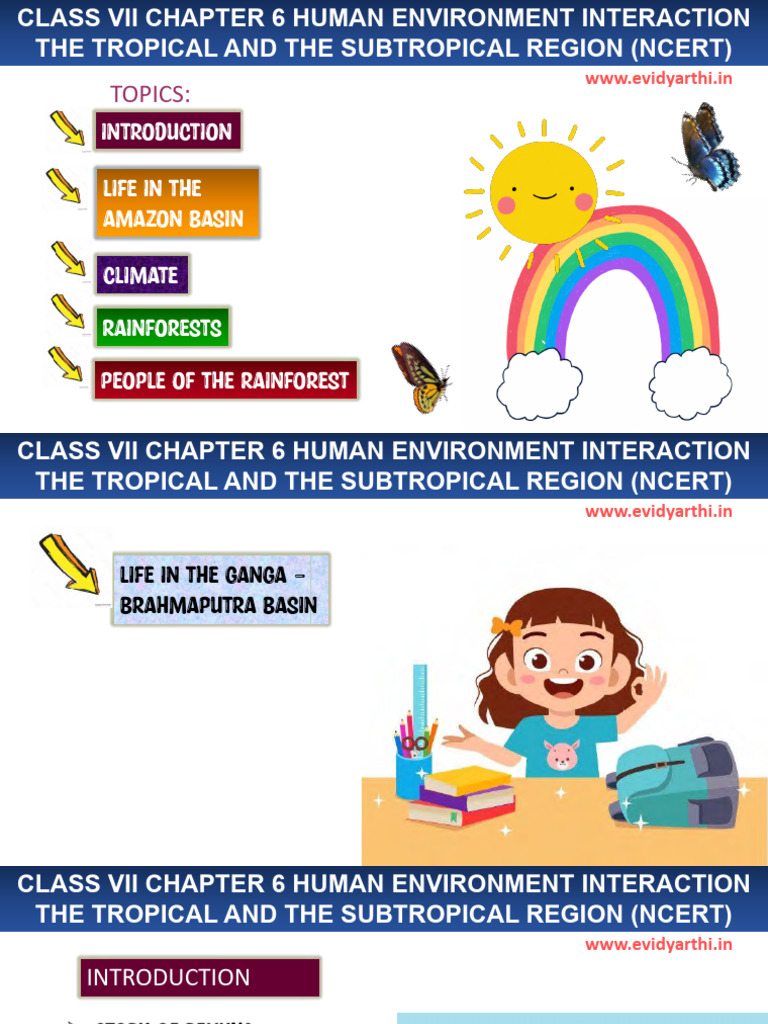 Notes Class 7 Geography Chapter 6 | PDF | Amazon Rainforest | Subtropics