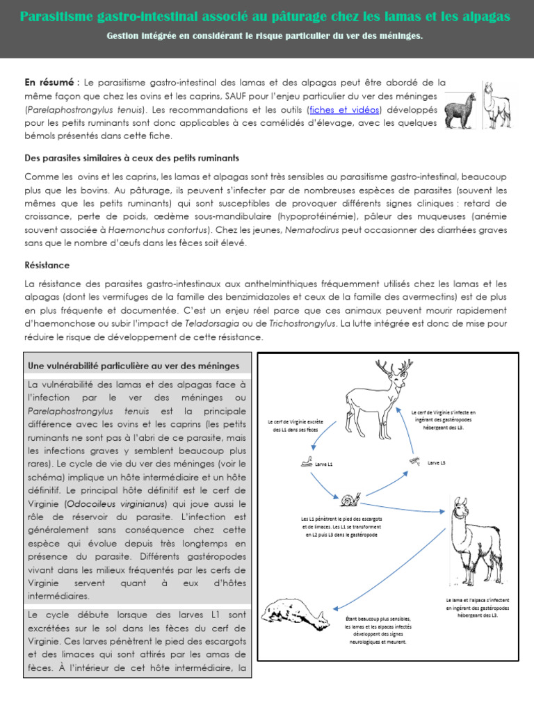Parasitisme gastro-intestinal chez lamas et alpagas | PDF