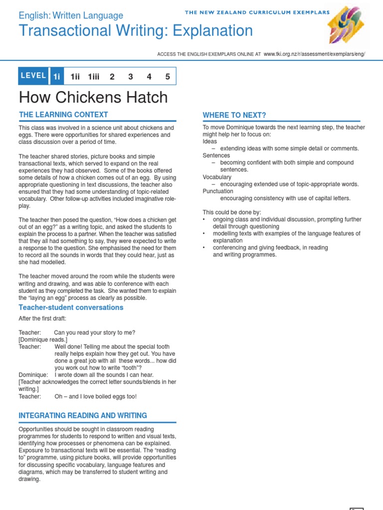 How Chickens Hatch: Writing Guide | PDF | Reading (Process) | Vocabulary