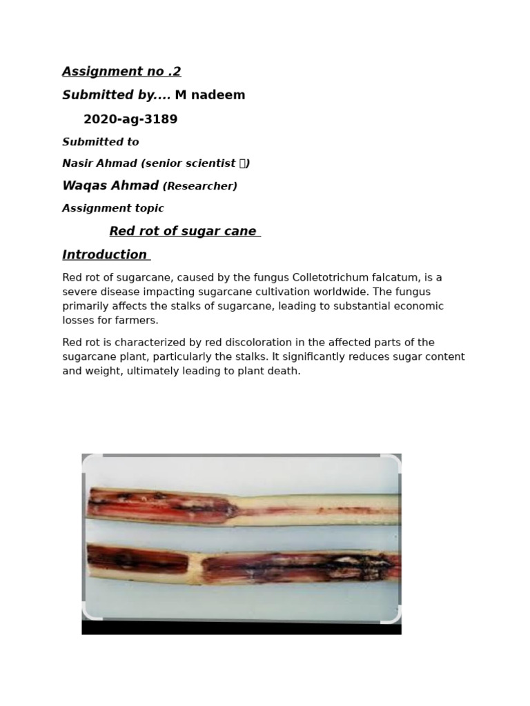 Red Rot of Sugar Cane | PDF