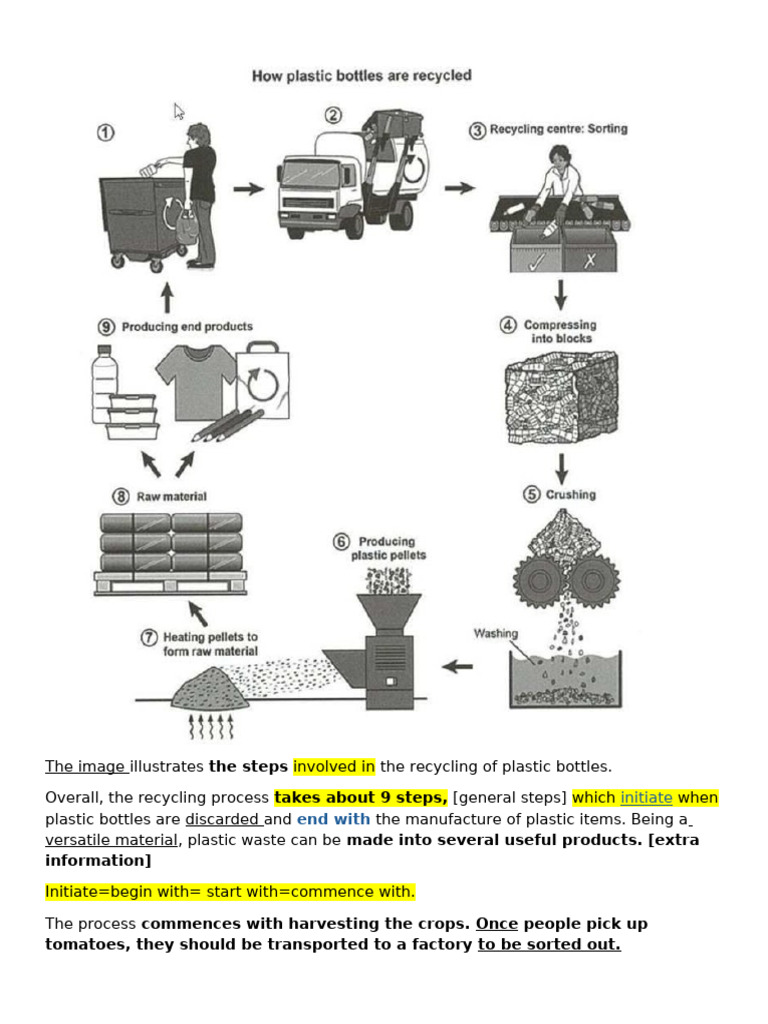 process task 1 | PDF | Juice | Diet & Nutrition