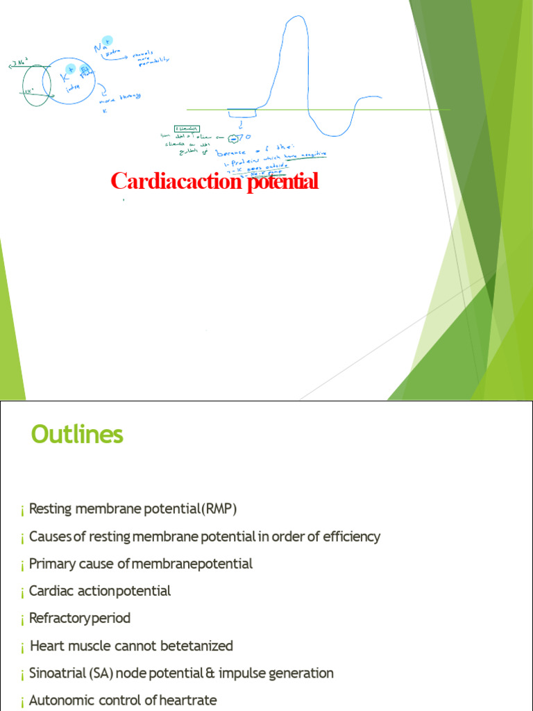 Understanding Cardiac Action Potential | PDF | Membrane Potential ...